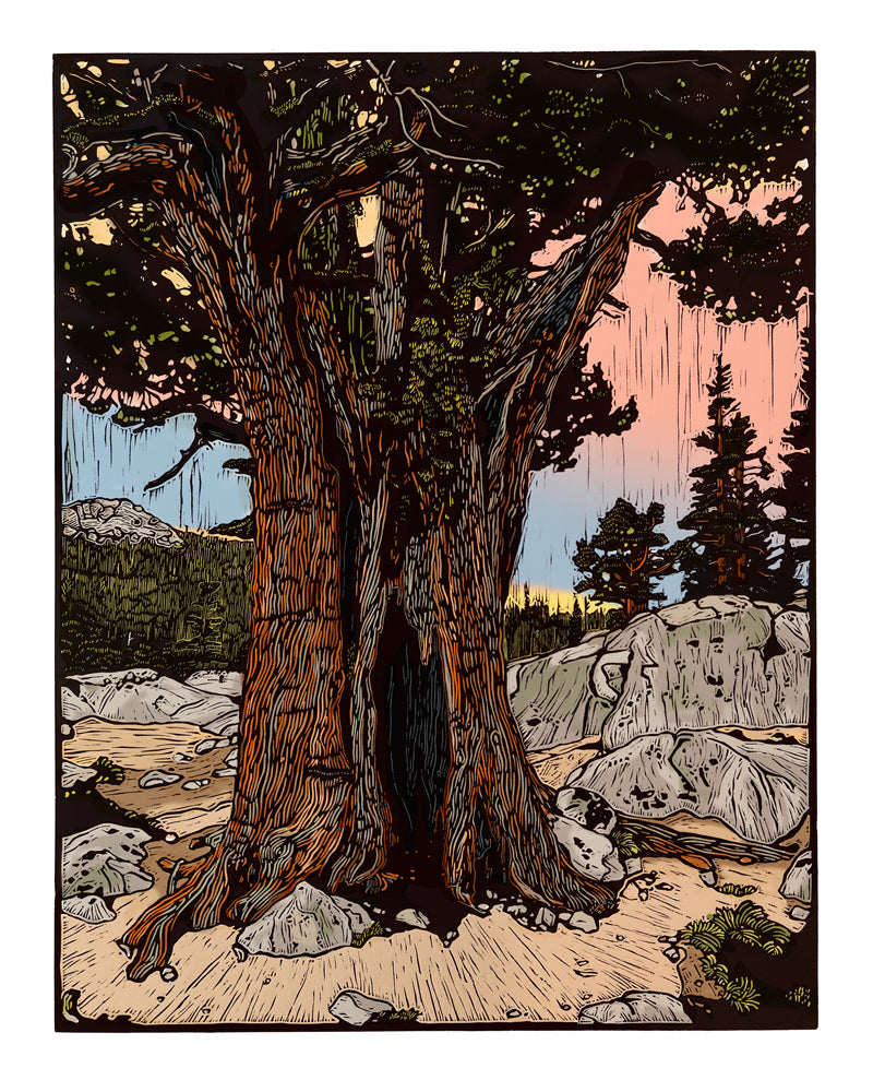 "High Sierra" Print – 3 Fish Studios