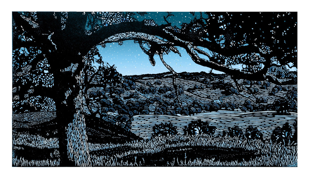 Products – 3 Fish Studios