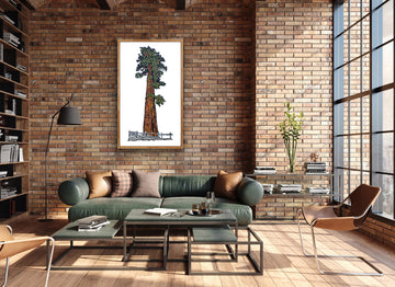 Collections – 3 Fish Studios