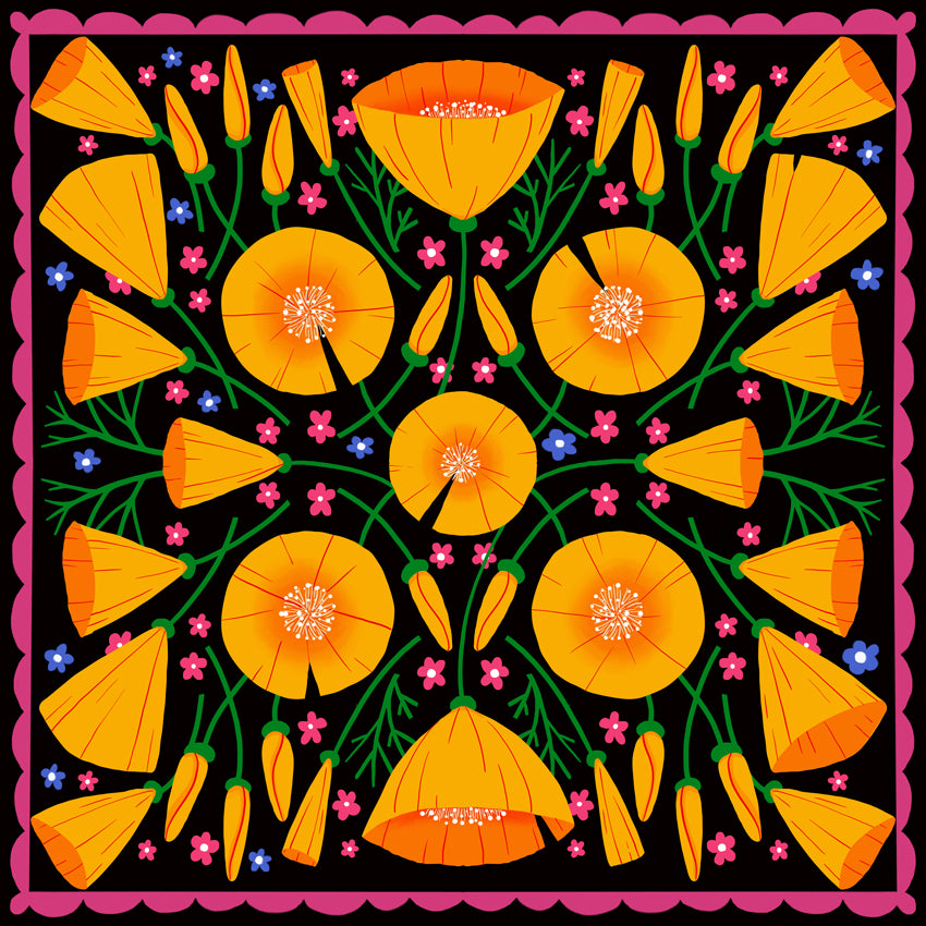 Collections – 3 Fish Studios