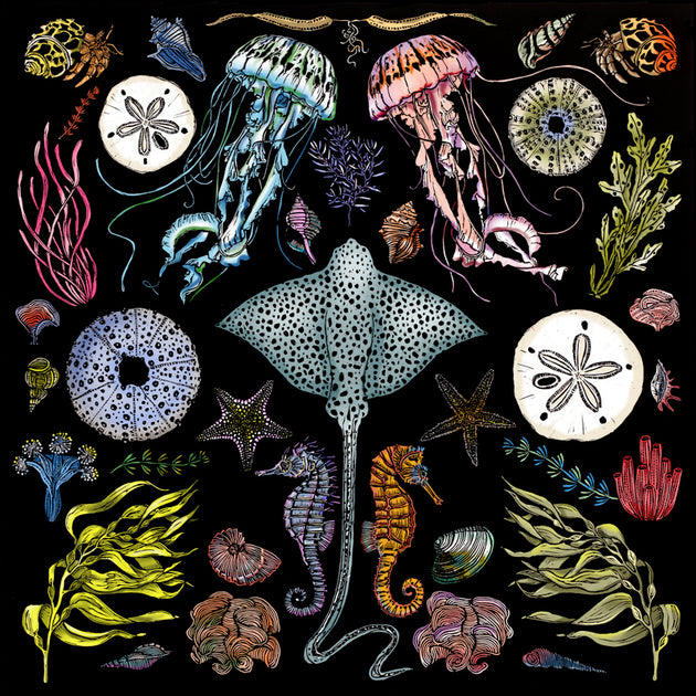 Products – 3 Fish Studios